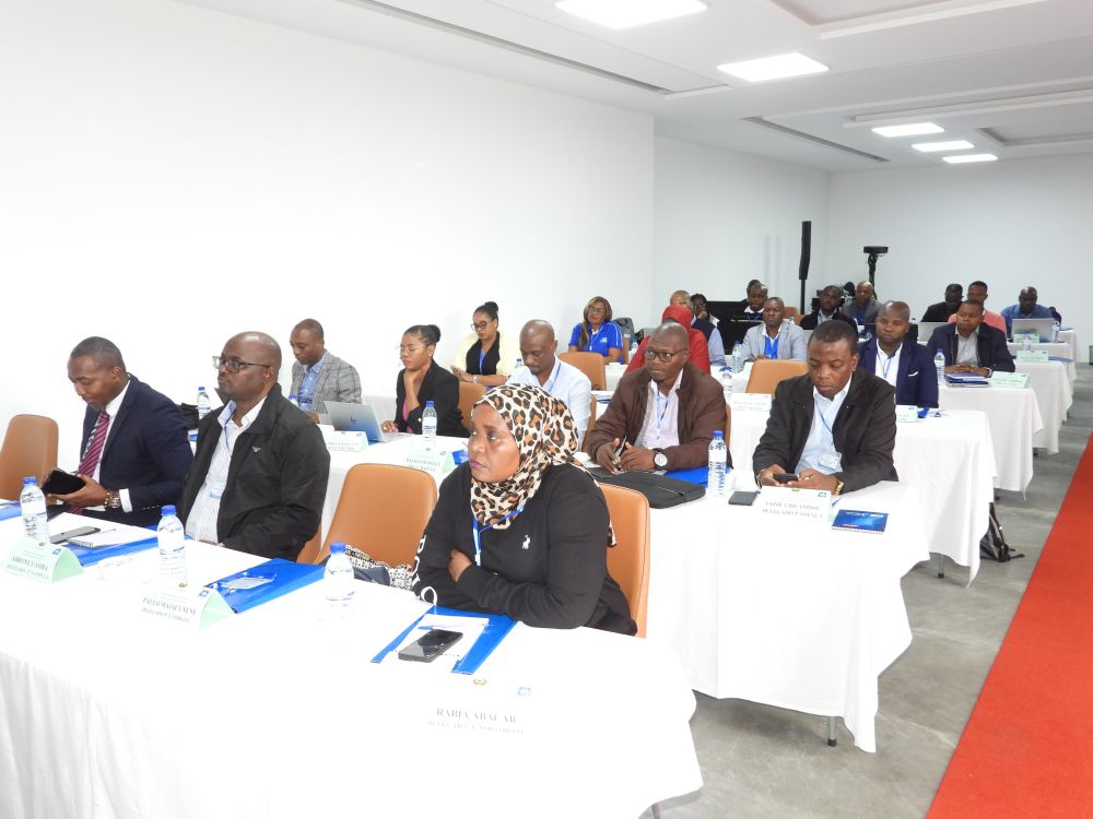 Harmonizar os Termos de Referência para garantir o aprimoramento do ...